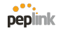 Peplink Platinum Partner UAE | Peplink distributor UAE